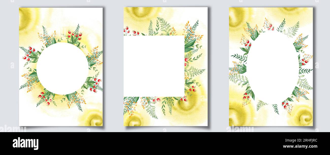 Set of floral card templates with red berries, fern, green branches ...