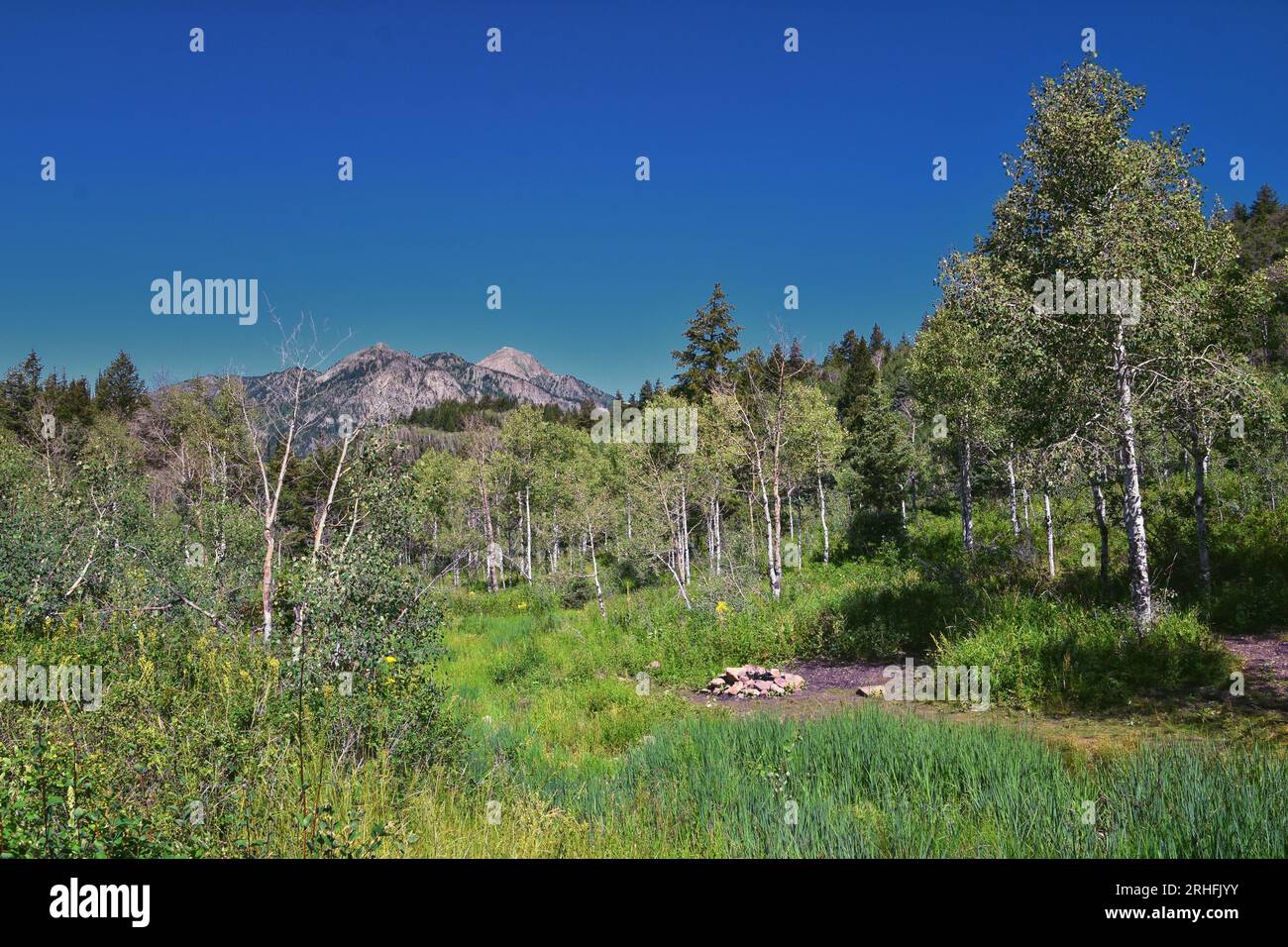 Timpanogos Peak from back hiking on Salamander Flat Willow Hollow and ...