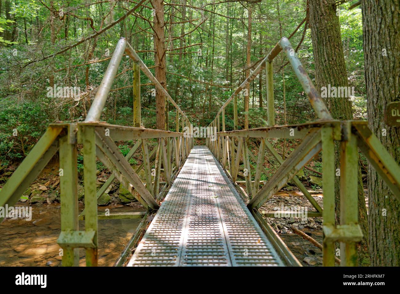 On a trail through the forest is a large rusty old steel bridge with a ...