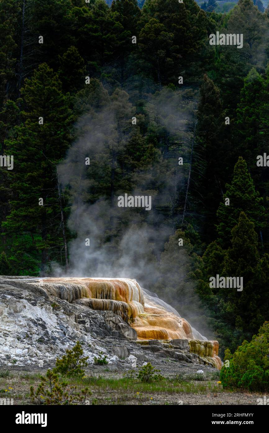 Cleopatra Terrace after sunset. Mammoth Hot Springs. Yellowstone ...