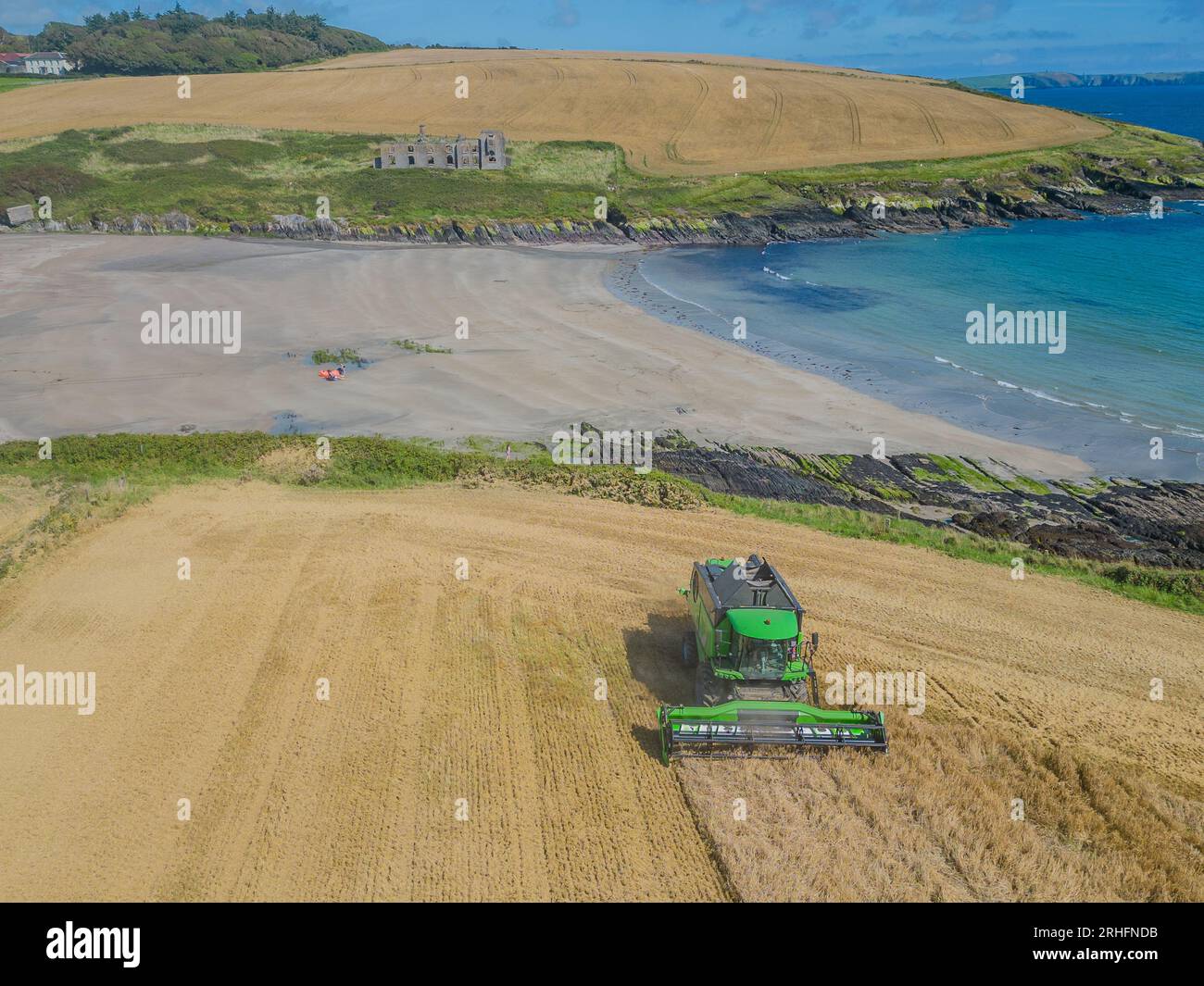 Christy Draper harvesting spring barley for winter cattle feed ...
