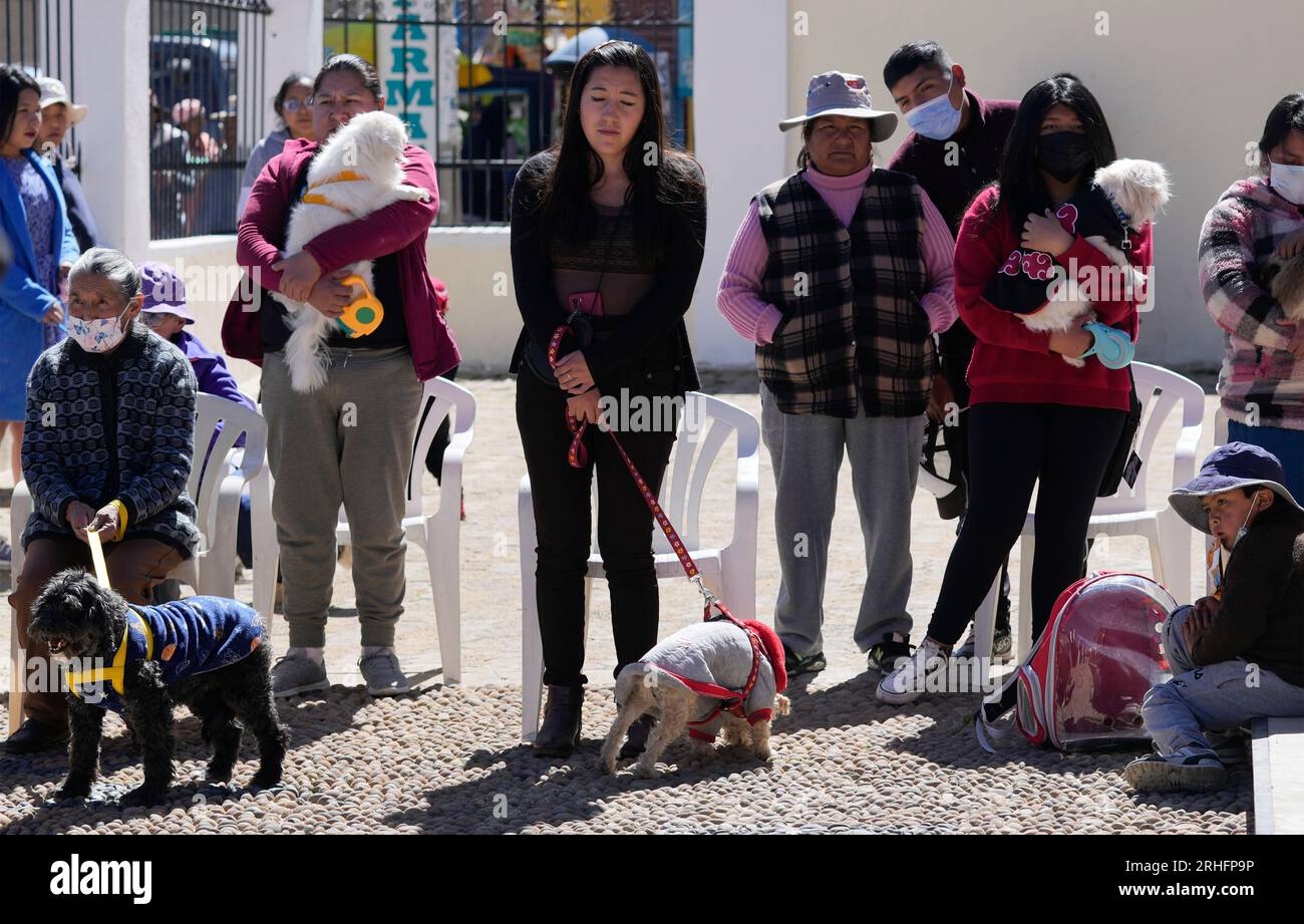 Dogs and their owners attend a Mass at the Cuerpo de Cristo parish to ...