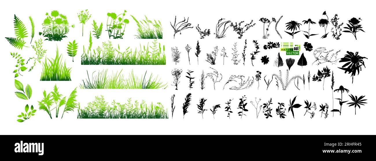 Set of green grass elements. Vector illustration Stock Vector Image & Art - Alamy