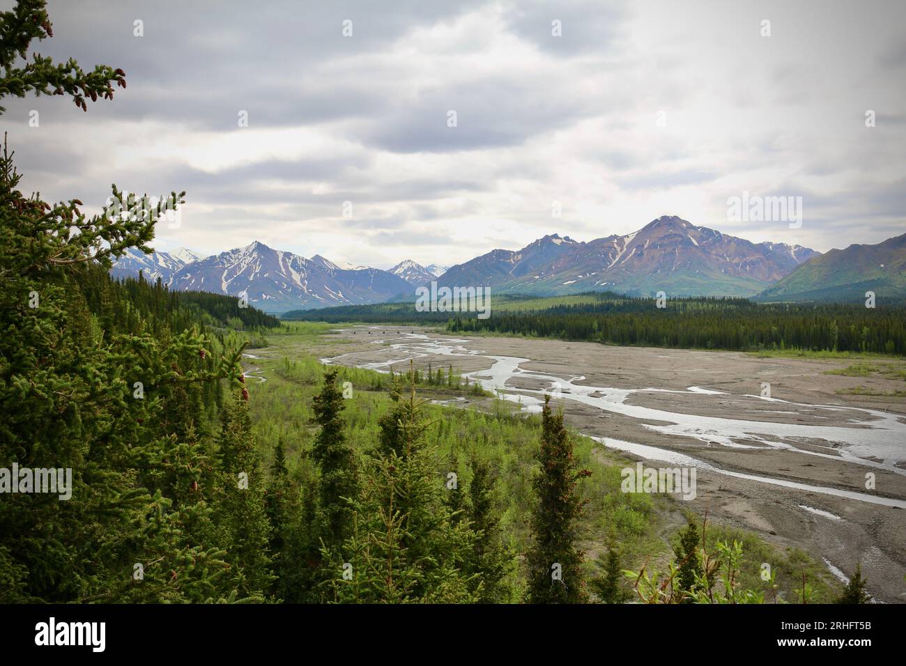 Denali National Park Stock Photo - Alamy