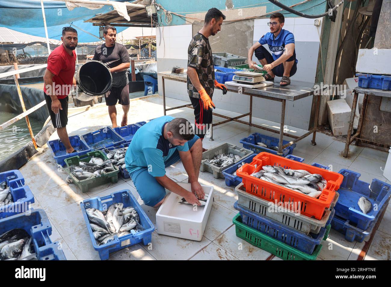 Export preparation hi-res stock photography and images - Alamy