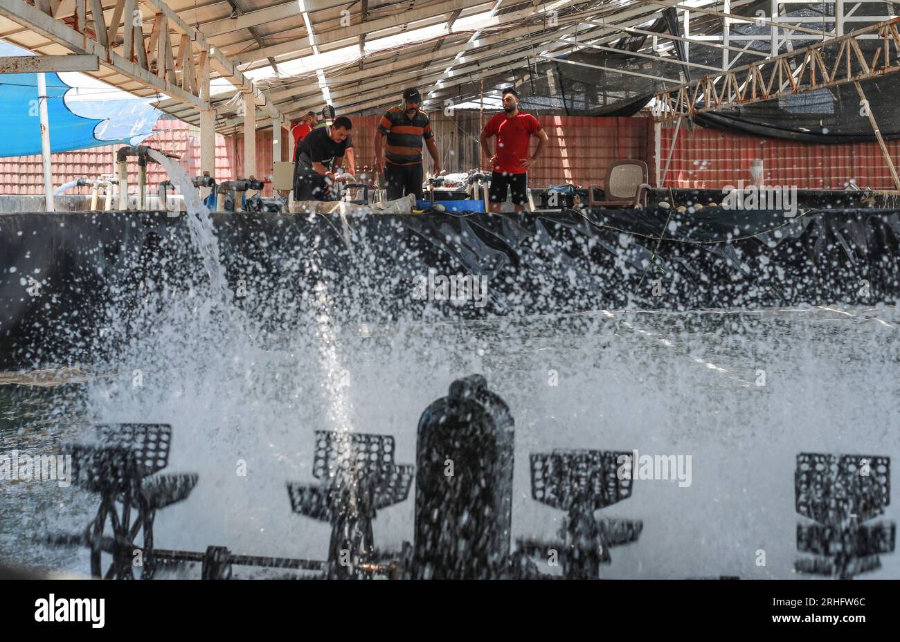 Gaza, Palestine. 15th Aug, 2023. Palestinians collect quantities of ...