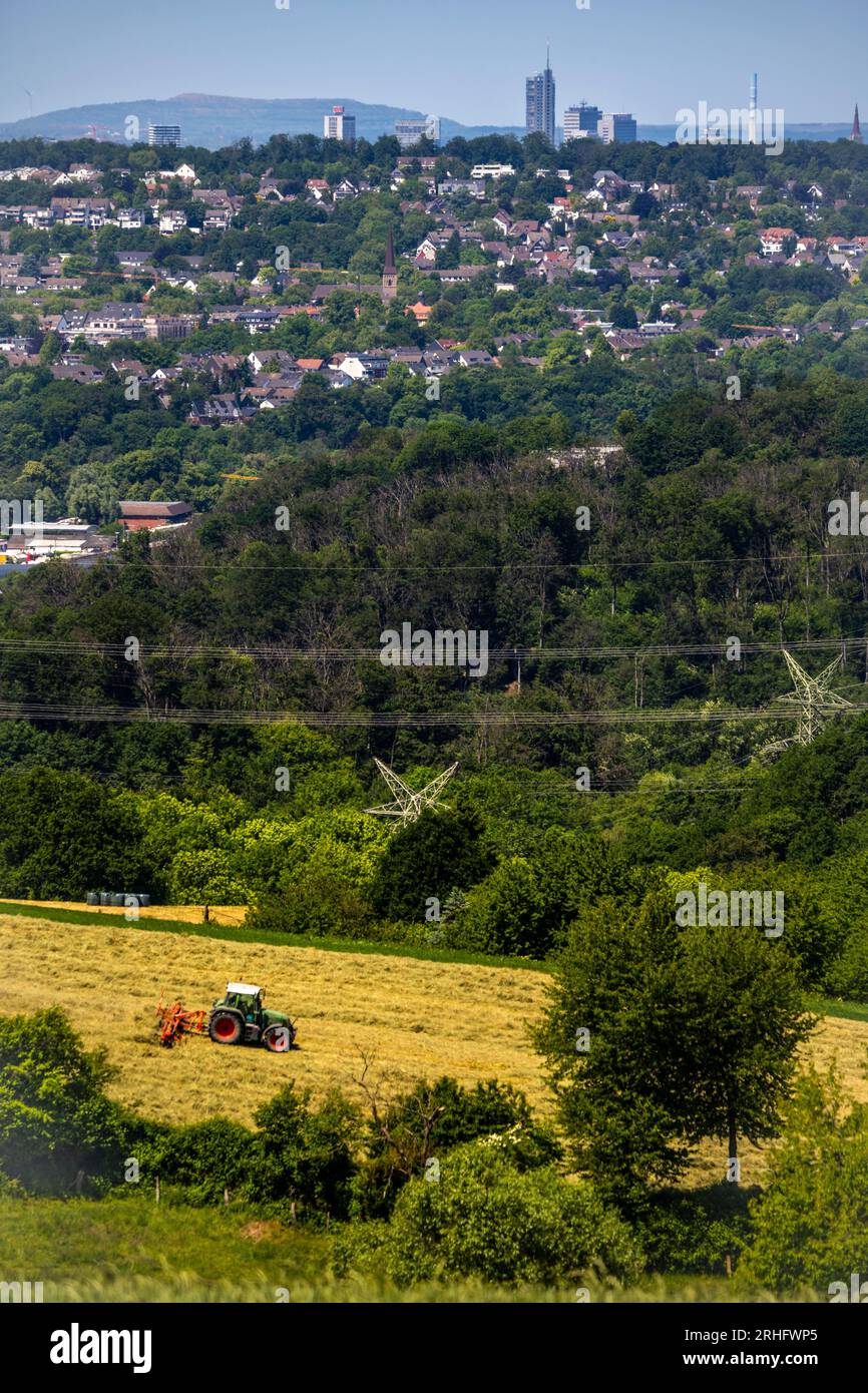 The skyline of Essen, skyscrapers in the inner city, view to the west ...