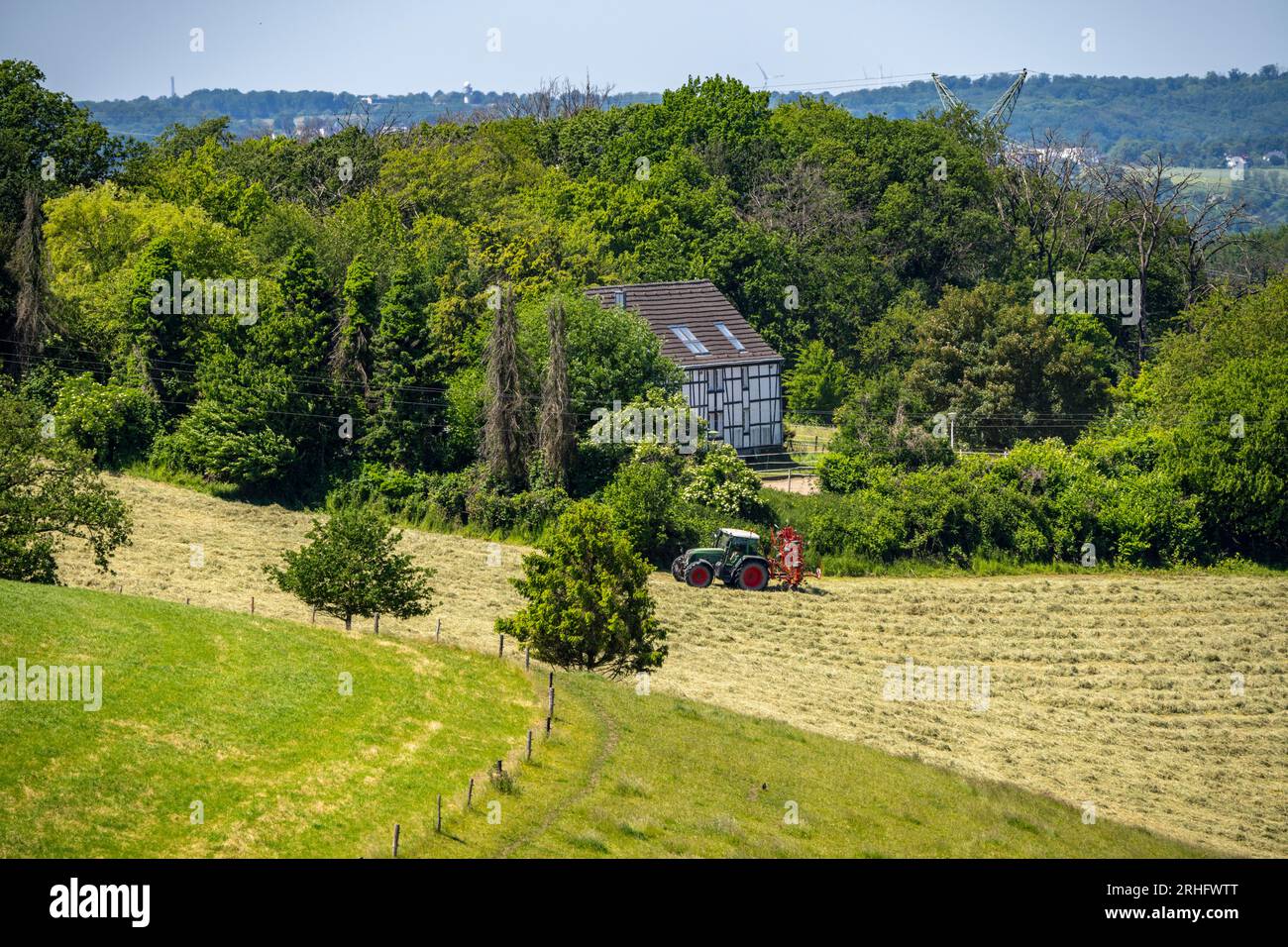 Farmer turning freshly cut hay with a tractor, Velbert, NRW, Germany ...
