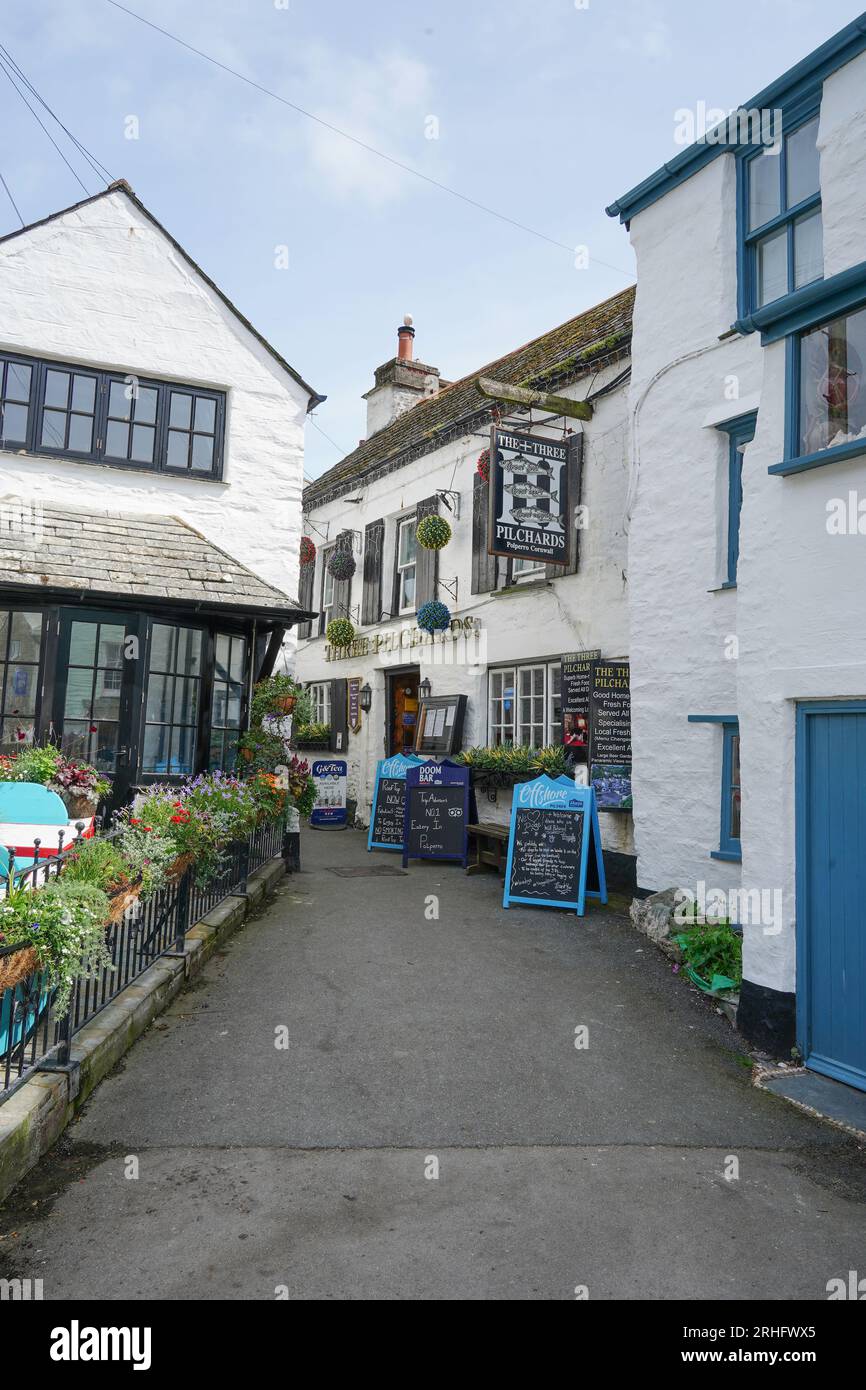 Polperro, UK - August 2023: The Three Pilchards pub in Polperro Stock ...