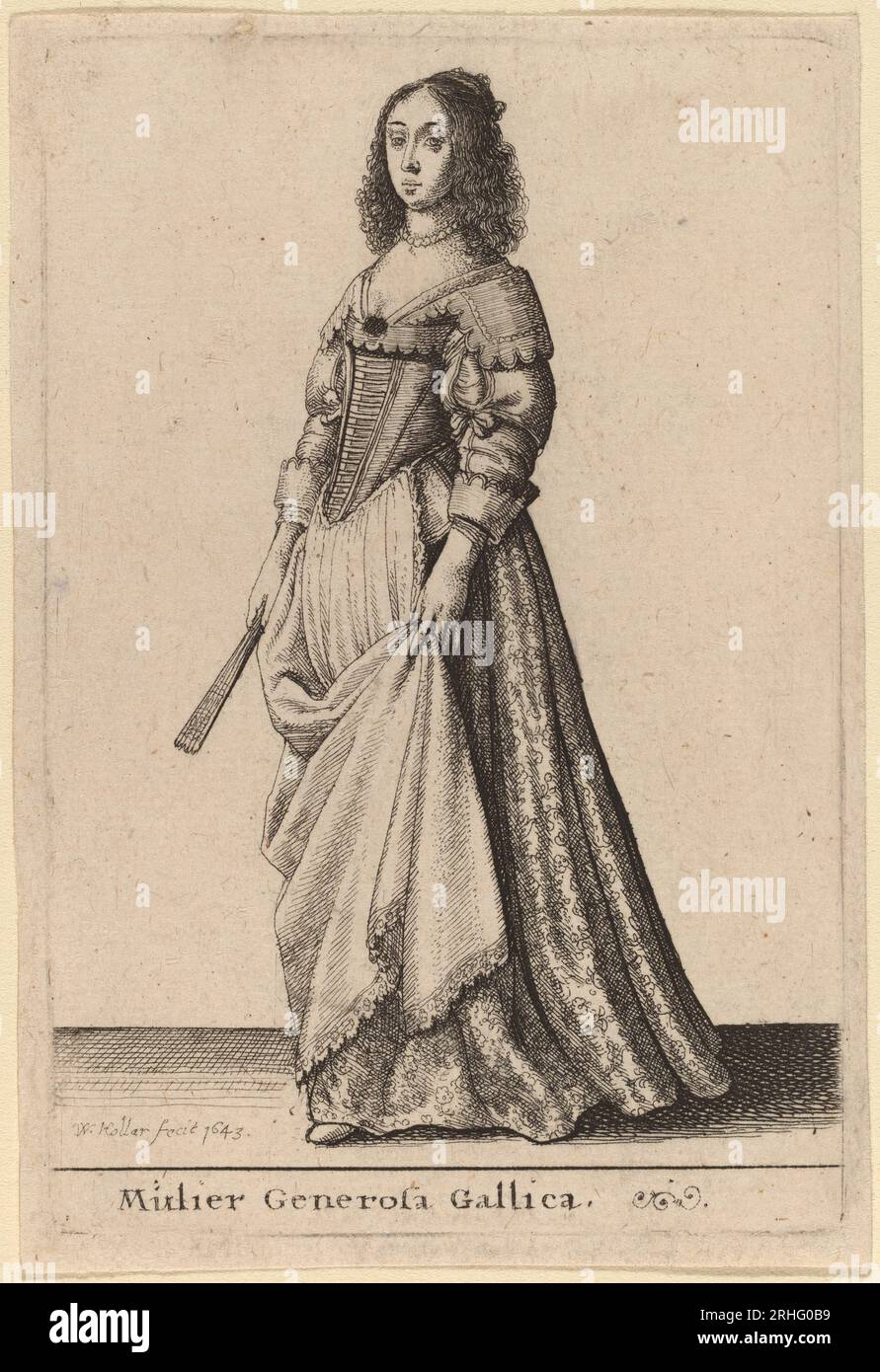 Generosa gallica hi-res stock photography and images - Alamy