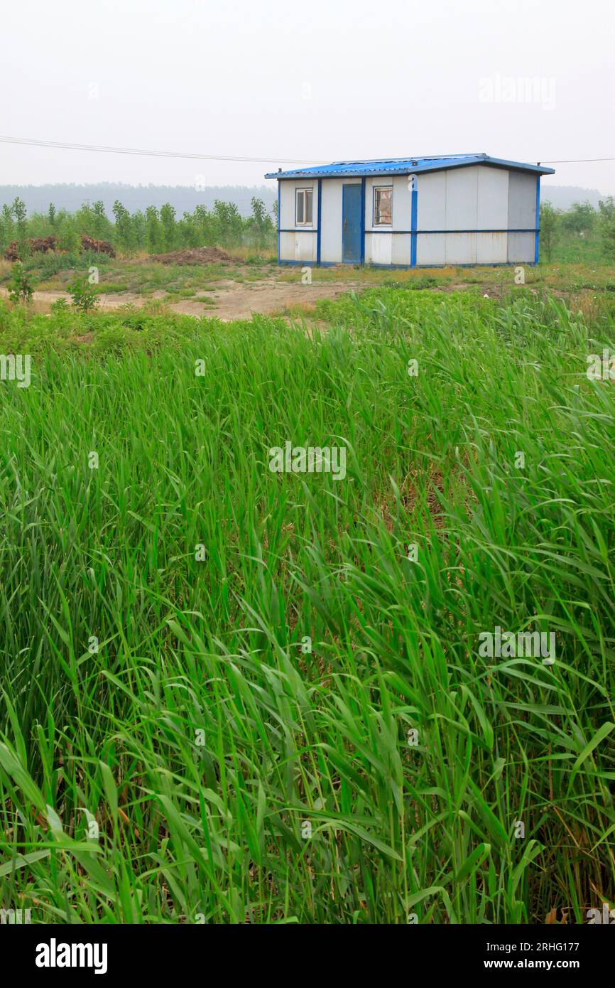 Simple houses hi-res stock photography and images - Alamy