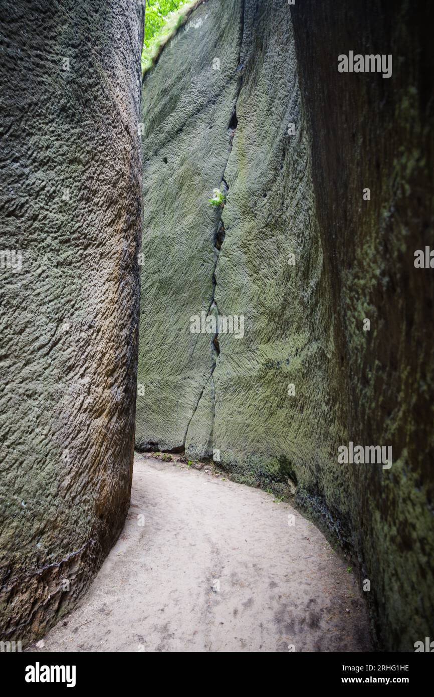Rocky way in the mountain Stock Photo - Alamy