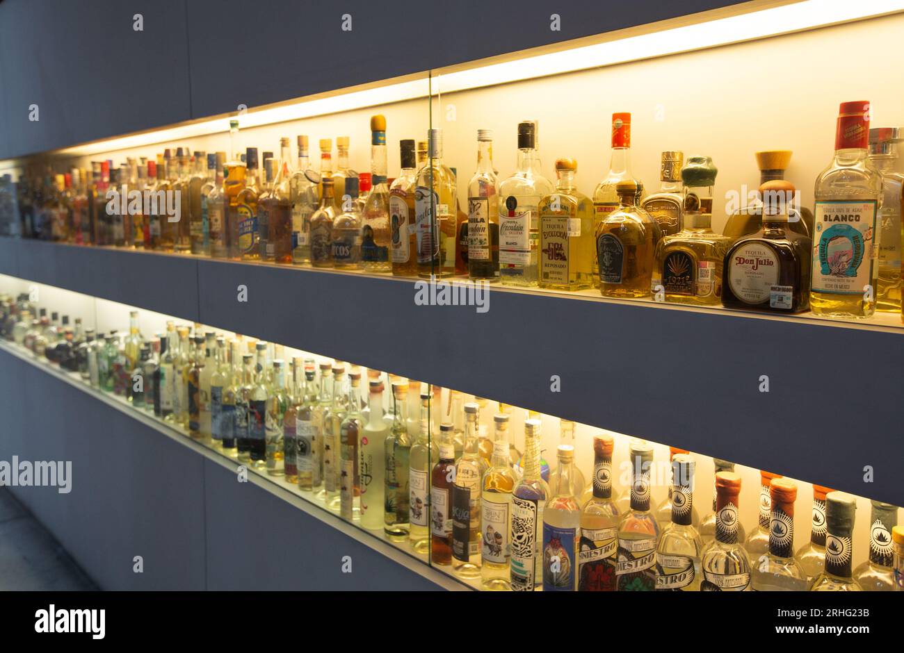 Display of Tequila and Mezcal Bottles, Museum of Tequila and Mezcal ...