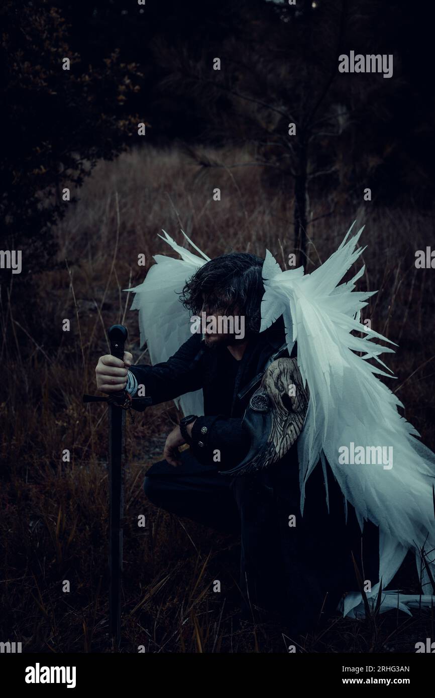 The Fallen Angel Stock Photo - Alamy