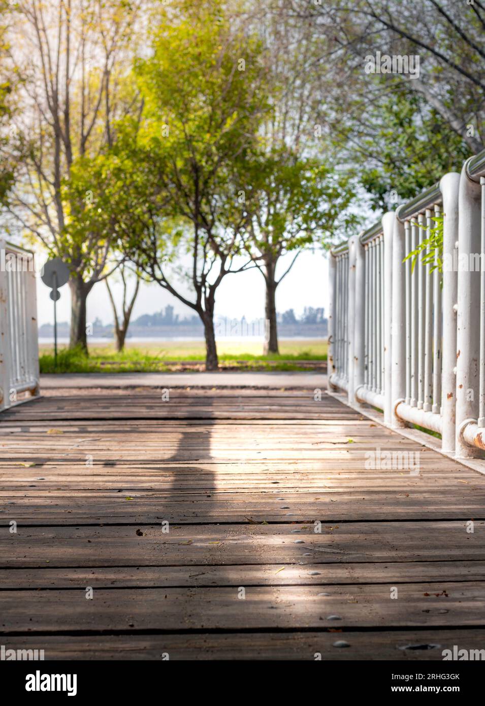 wooden pathway receiving morning sunshine in nature Stock Photo - Alamy