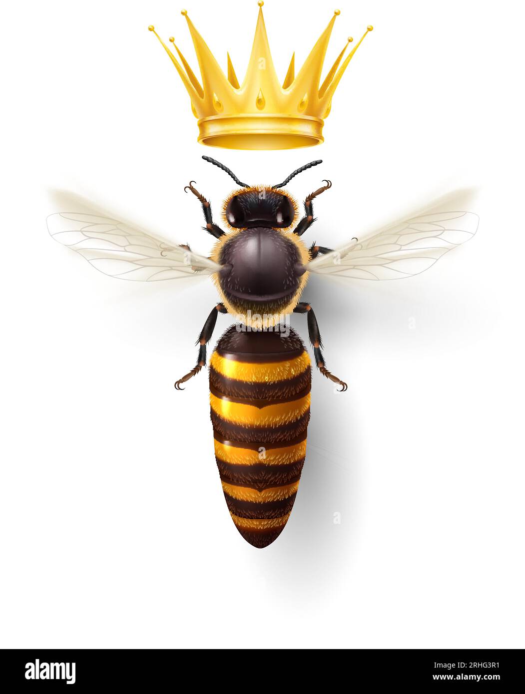 Realistic Bee Queen Mother With Golden Crown Detailed Illustration Of