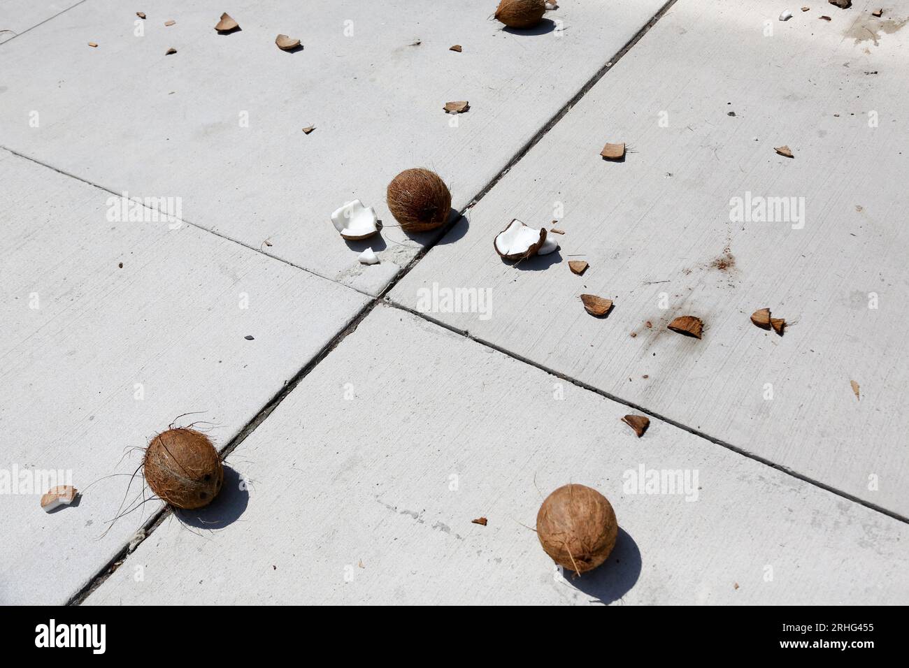 Smashed coconut hi-res stock photography and images - Alamy