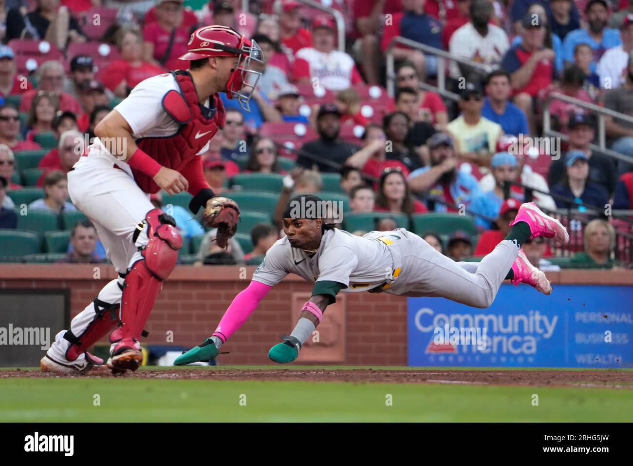 Oakland Athletics' Esteury Ruiz, right, scores past St. Louis Cardinals ...