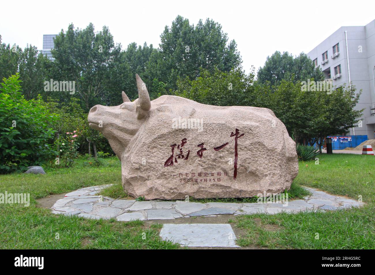 willing ox sculpture in the campus of the Tsinghua University in ...