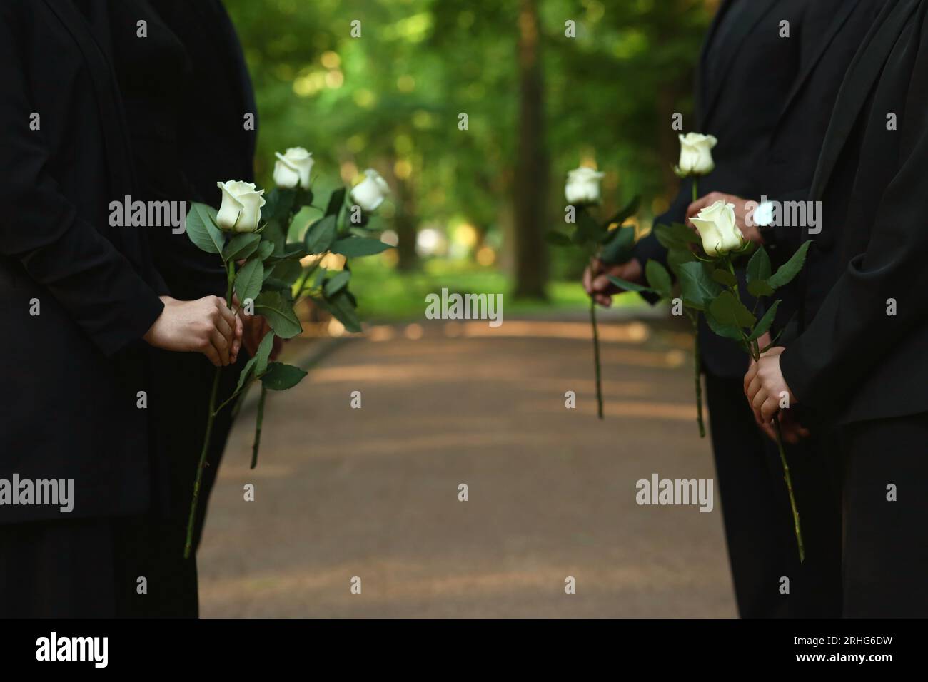 Rose rip hi-res stock photography and images - Alamy