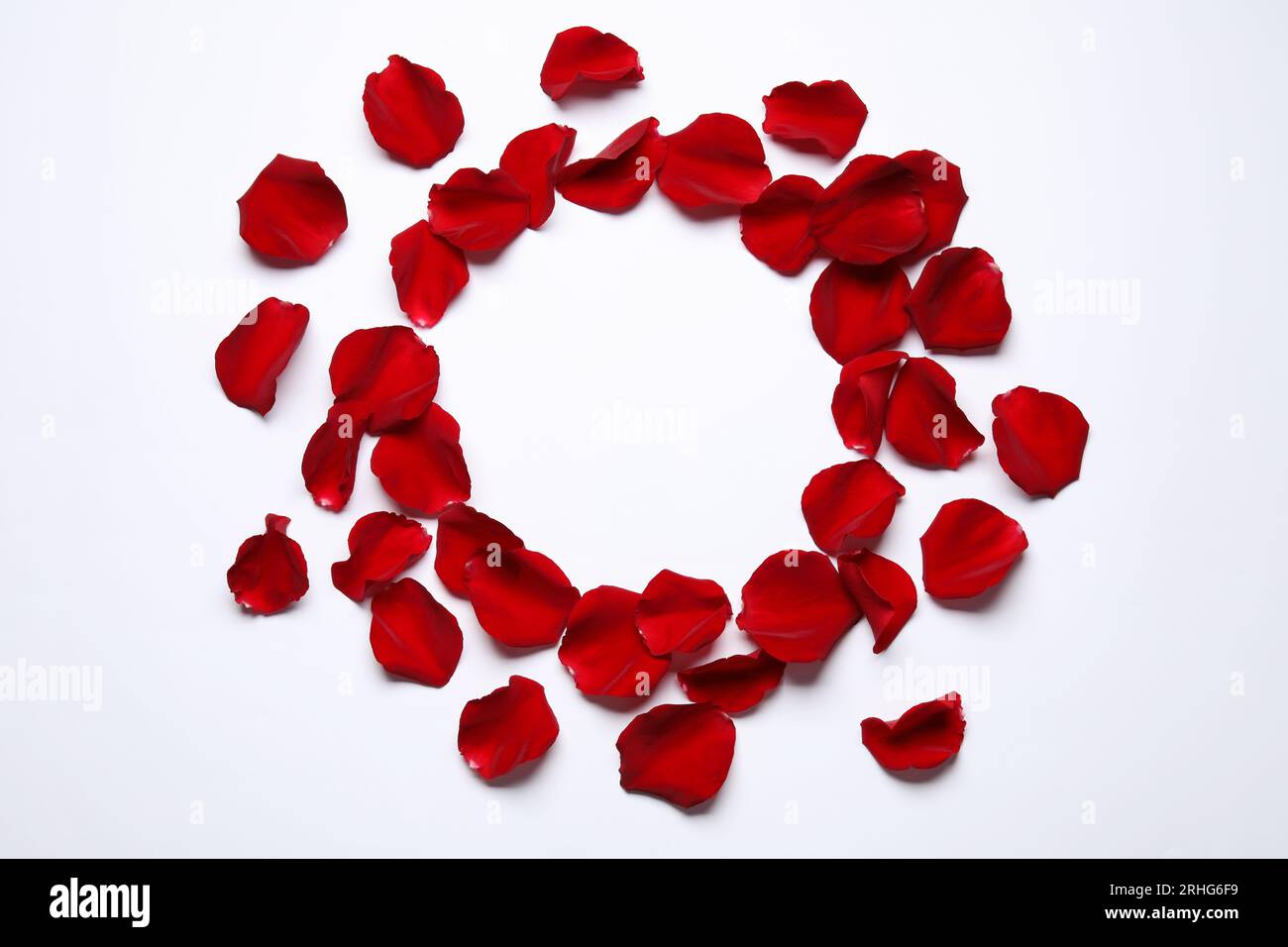 Round frame of beautiful red rose petals on white background, top view ...