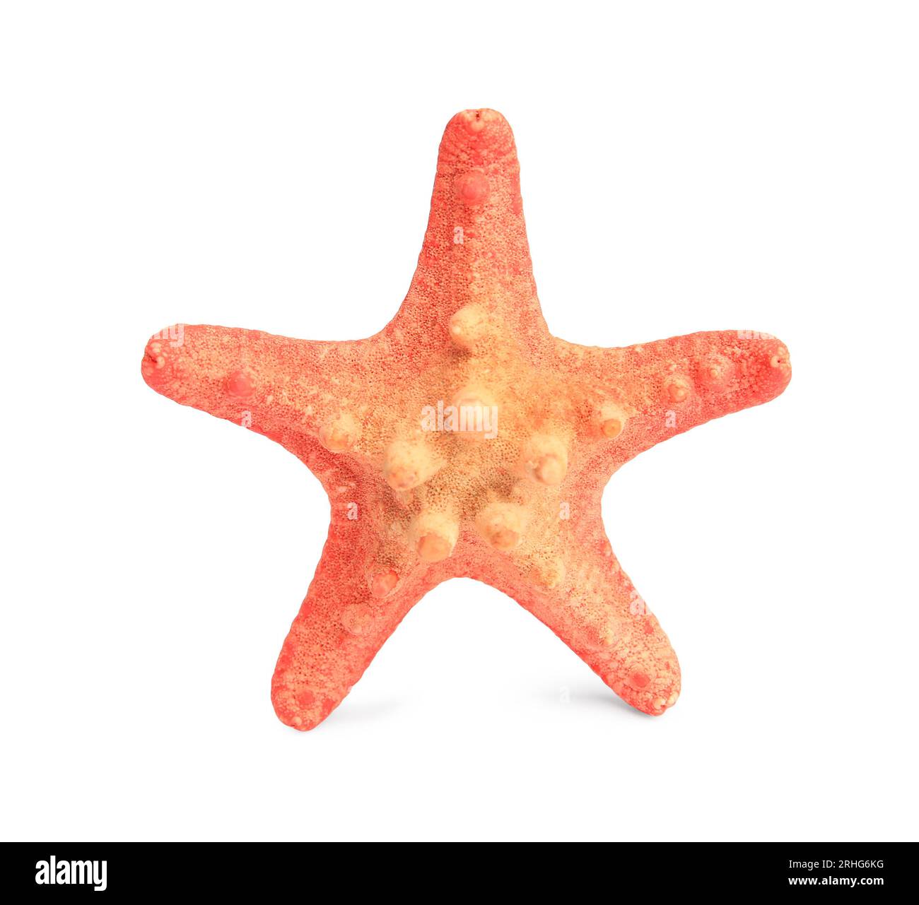 Beautiful sea star (starfish) isolated on white Stock Photo - Alamy