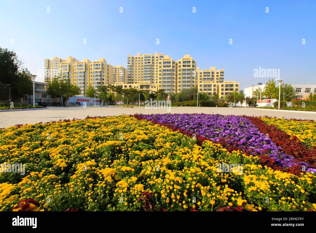 building and flowers in a city square, north china Stock Photo - Alamy