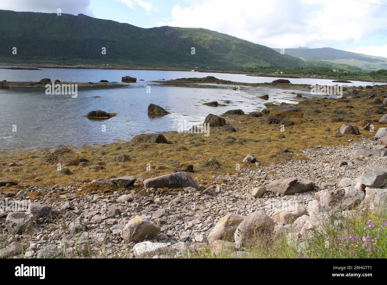 Lofoten peninsula, Norway, Mountains, lakes, and fjords Stock Photo - Alamy
