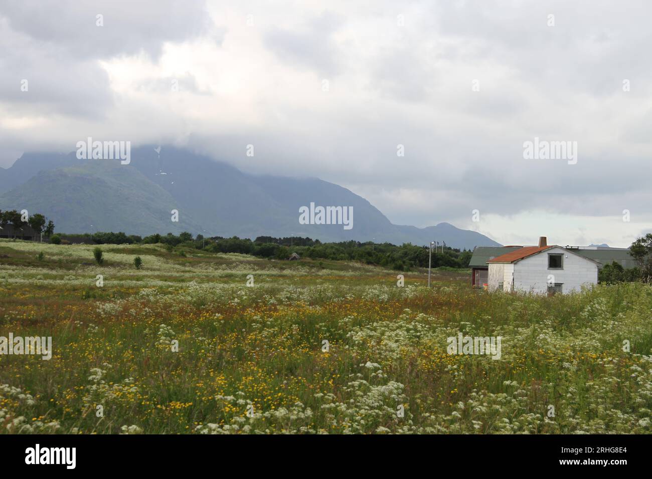 Lofoten peninsula, Norway, Mountains, lakes, and fjords Stock Photo - Alamy