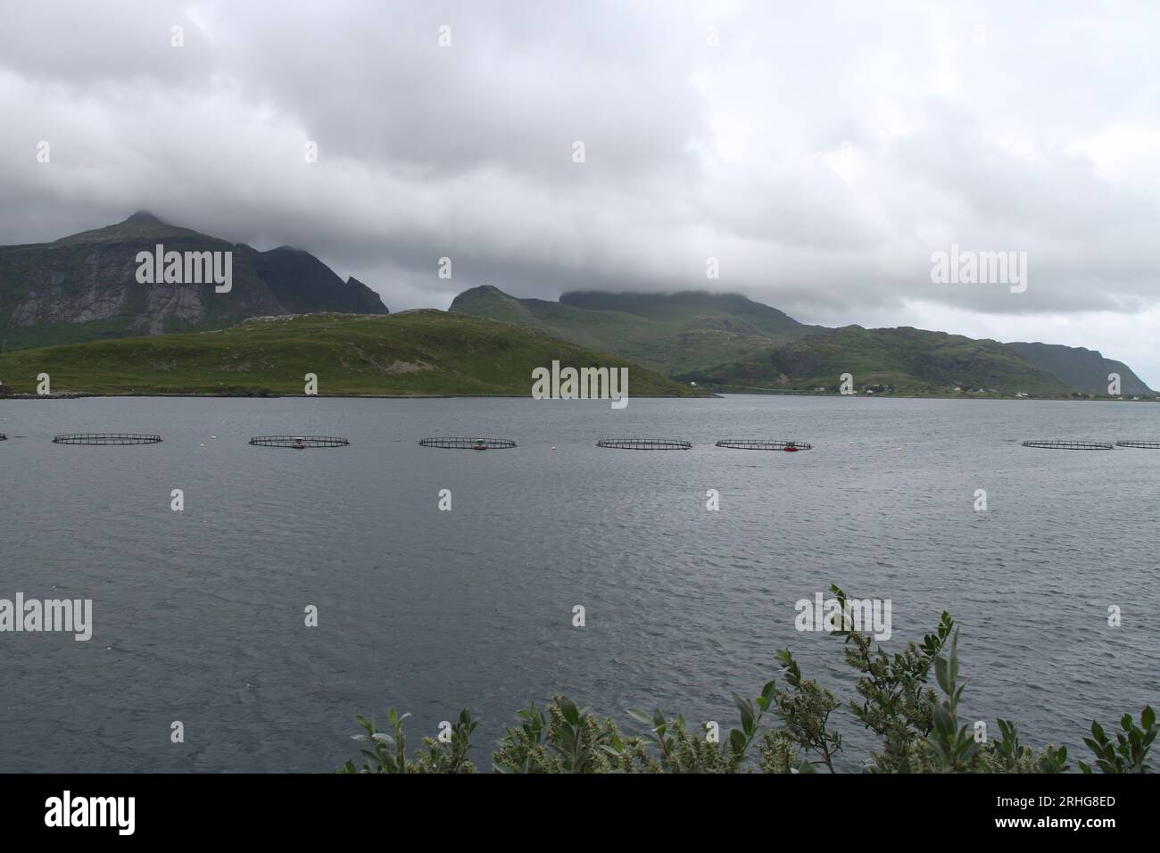 Lofoten peninsula, Norway, Mountains, lakes, and fjords Stock Photo - Alamy