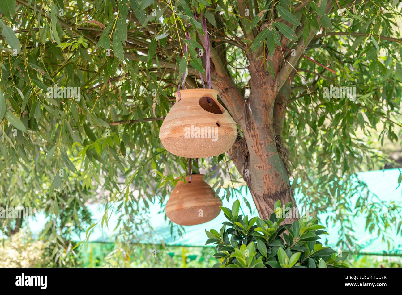 Clay pot hanging in tree for birdhouse and nest Stock Photo - Alamy