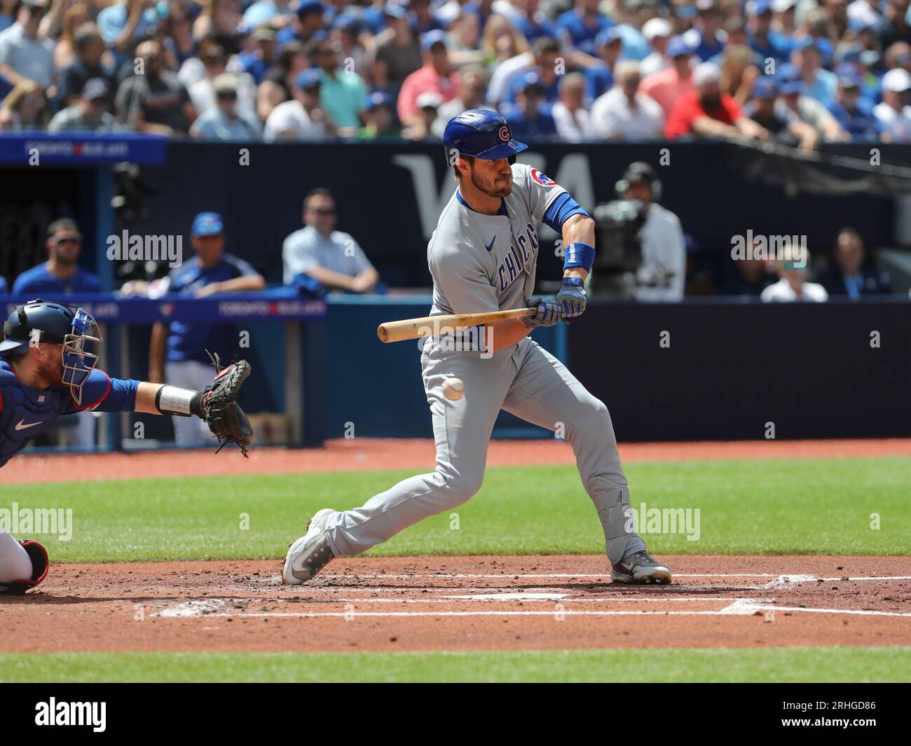 Nicholas wisdom hi-res stock photography and images - Alamy