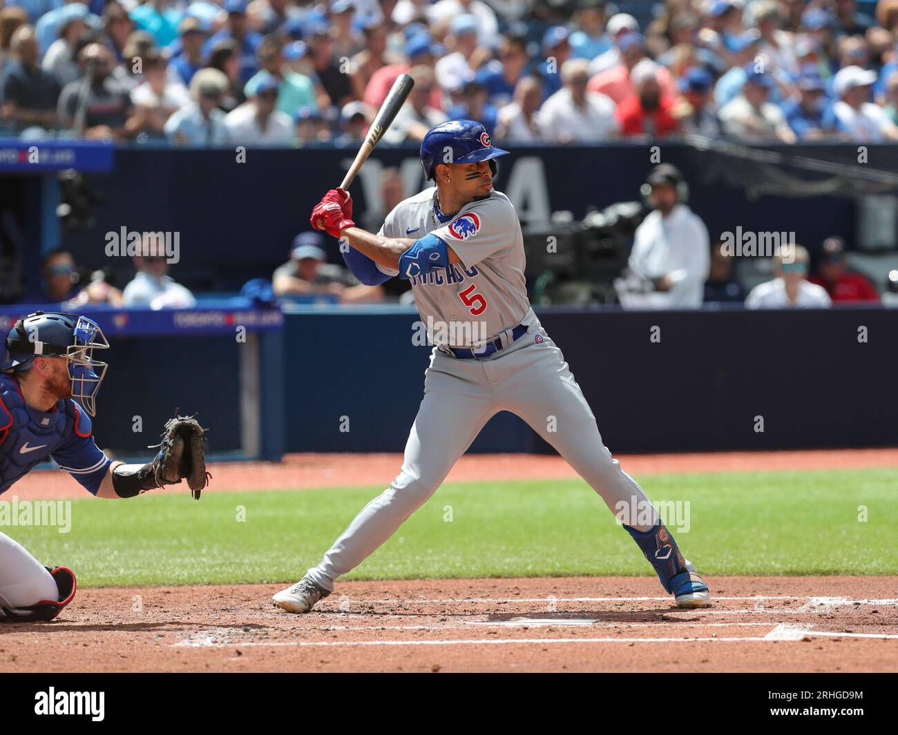 Christopher morel hi-res stock photography and images - Alamy