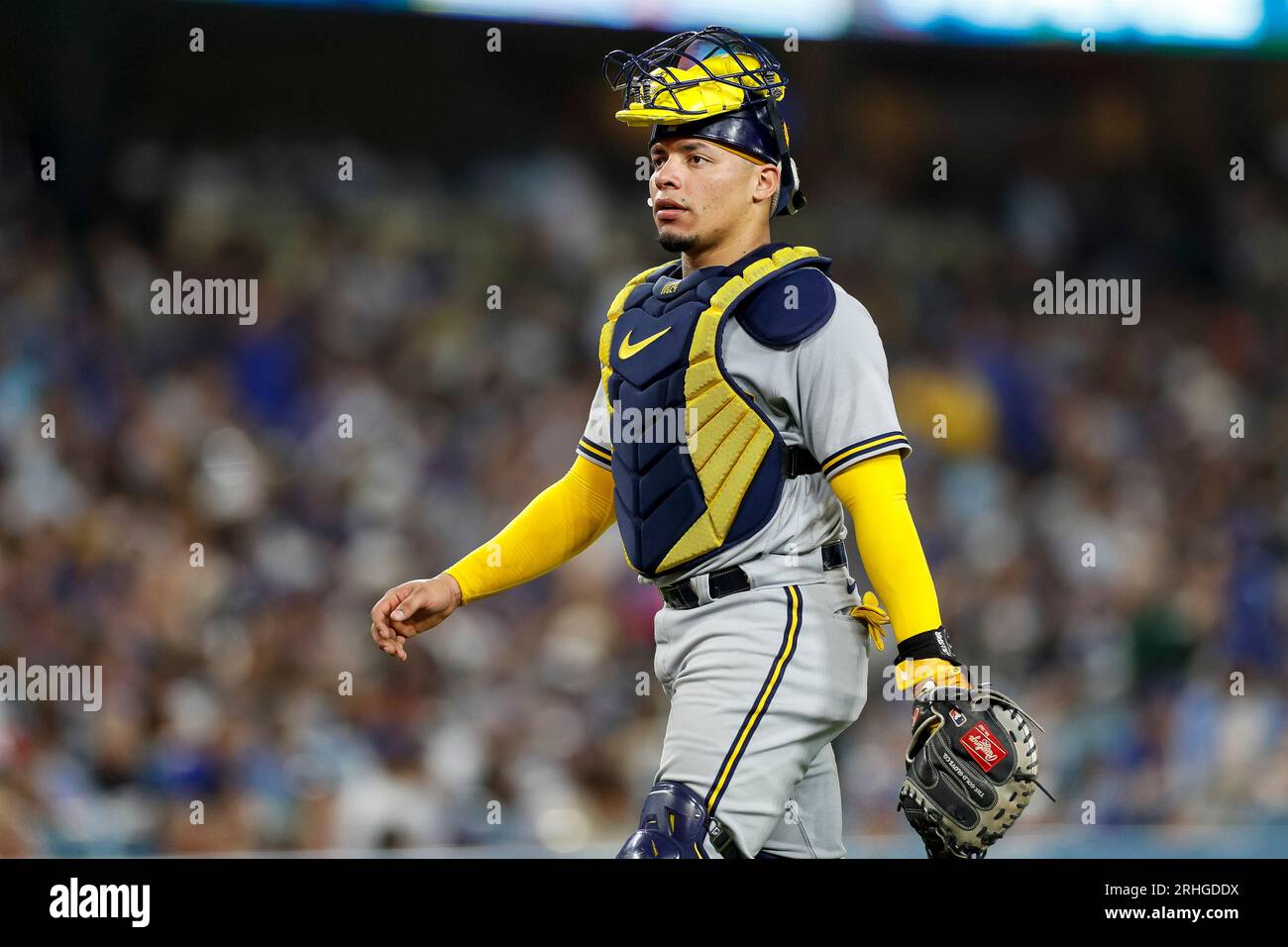 Milwaukee Brewers catcher William Contreras (24) walks back to the ...