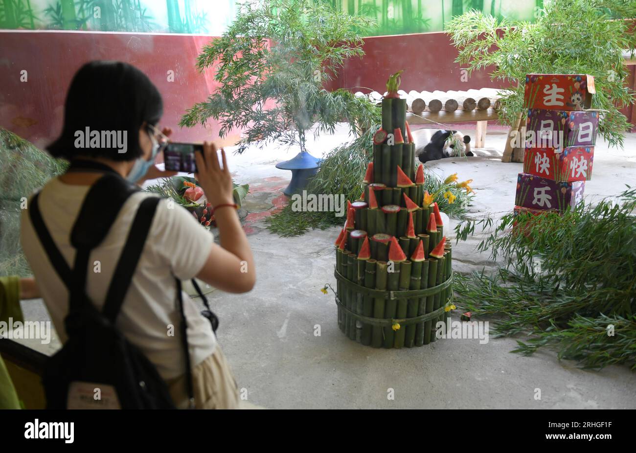 **CHINESE MAINLAND, HONG KONG, MACAU AND TAIWAN OUT** A giant panda Li ...