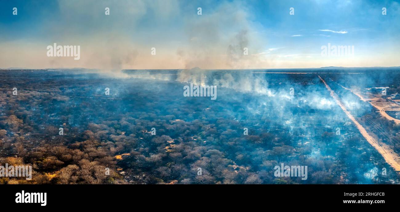 bush fire uncontrolled in Gaborone, Botswana, near the dirt road going ...