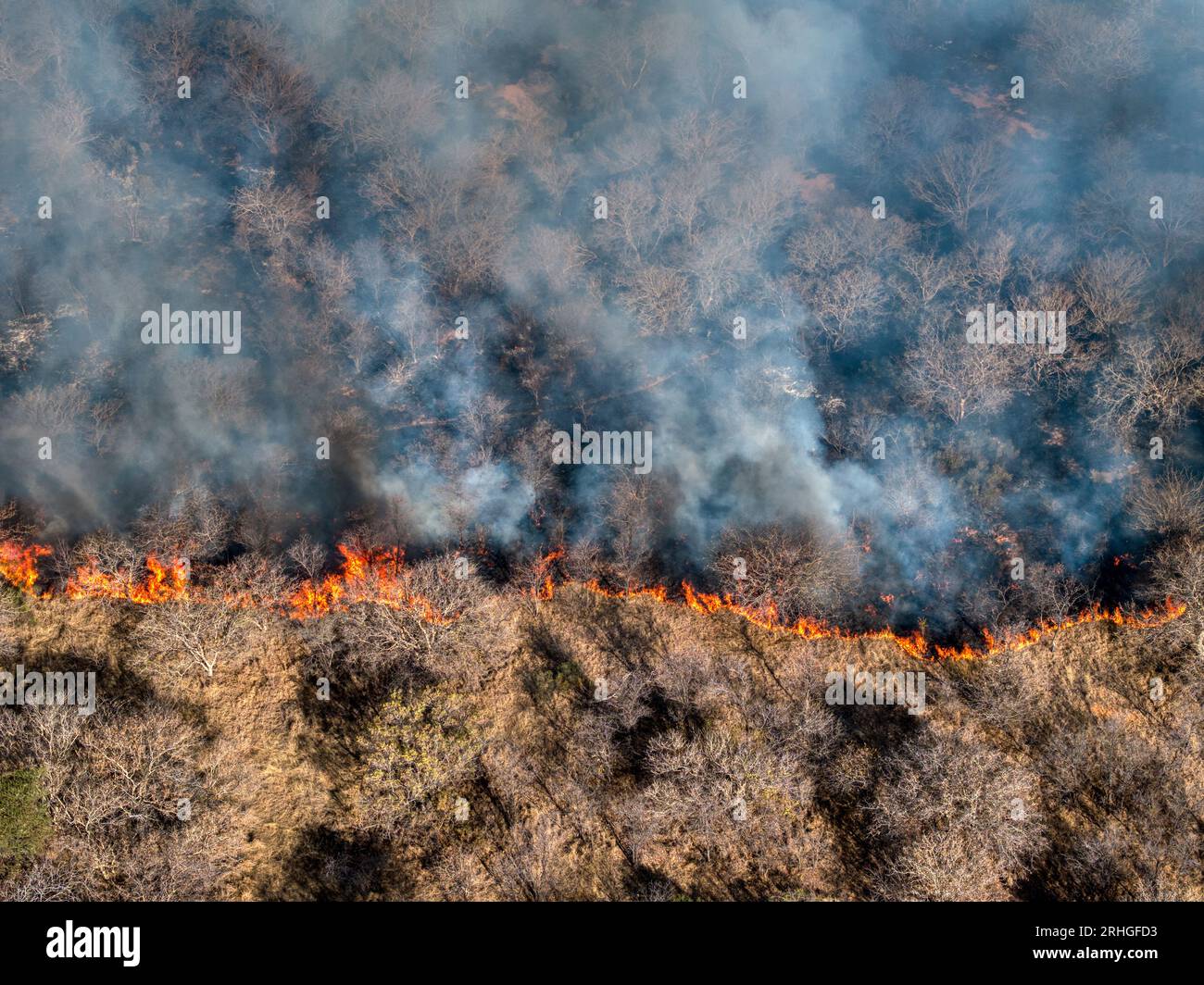 bush fire uncontrolled , climate change, environmental pollution, dense ...