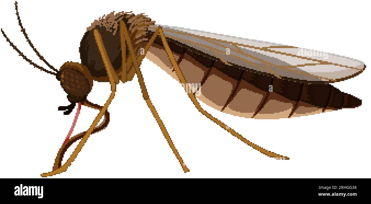 A vector cartoon illustration of a brown mosquito responsible for ...