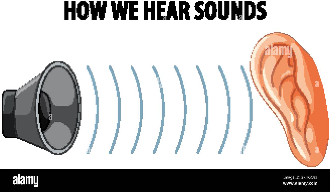 Illustrated education on the human hearing system and sound propagation ...