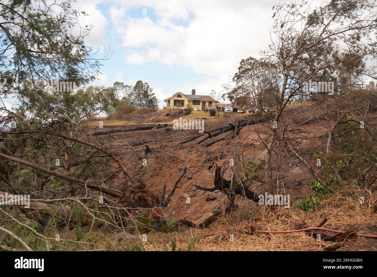 Maui, Hawaii (Aug. 13, 2023) - Photos from a moving vehicle show some ...