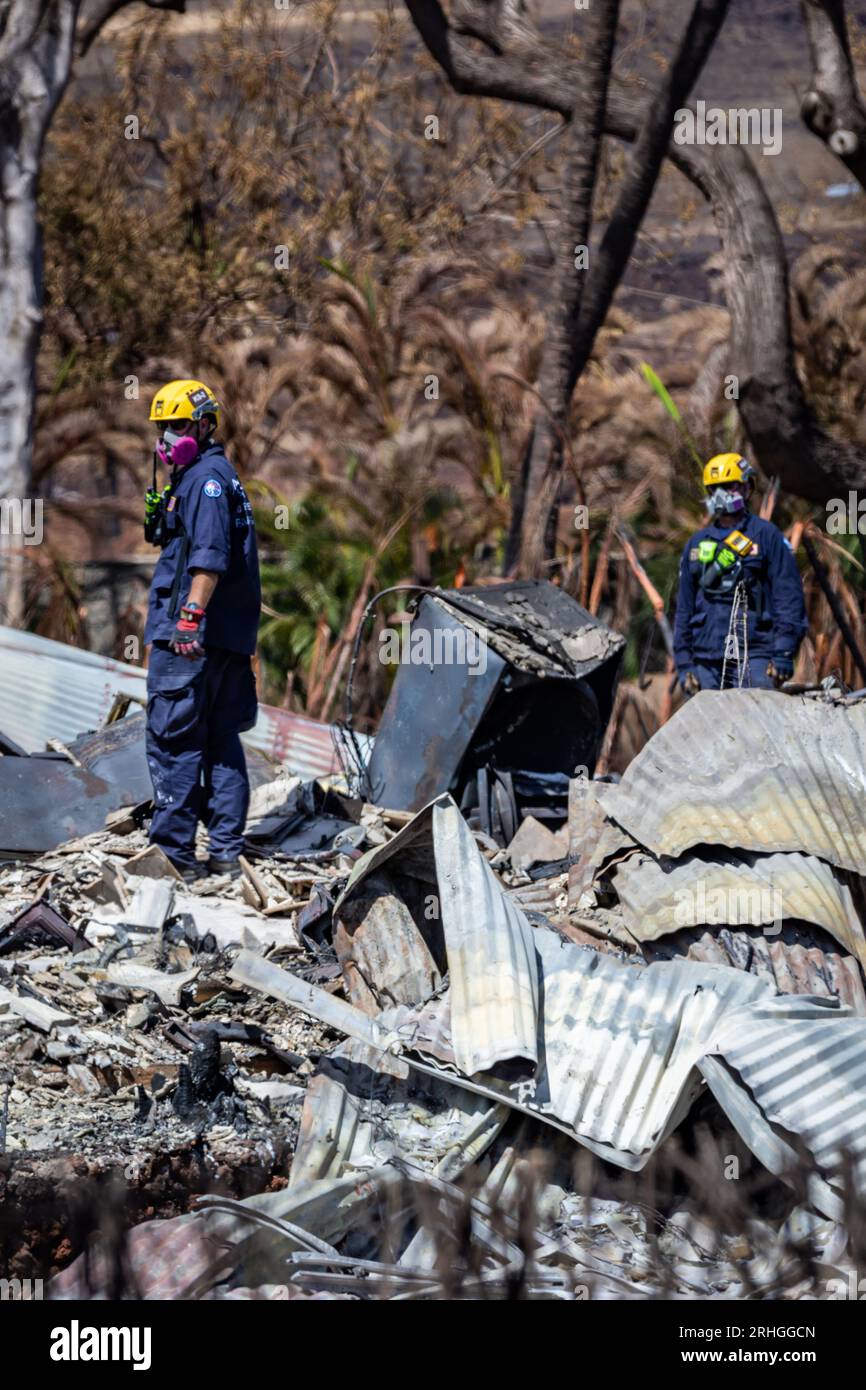 Combined Joint Task Force 50 (CJTF-50) search, rescue and recovery ...