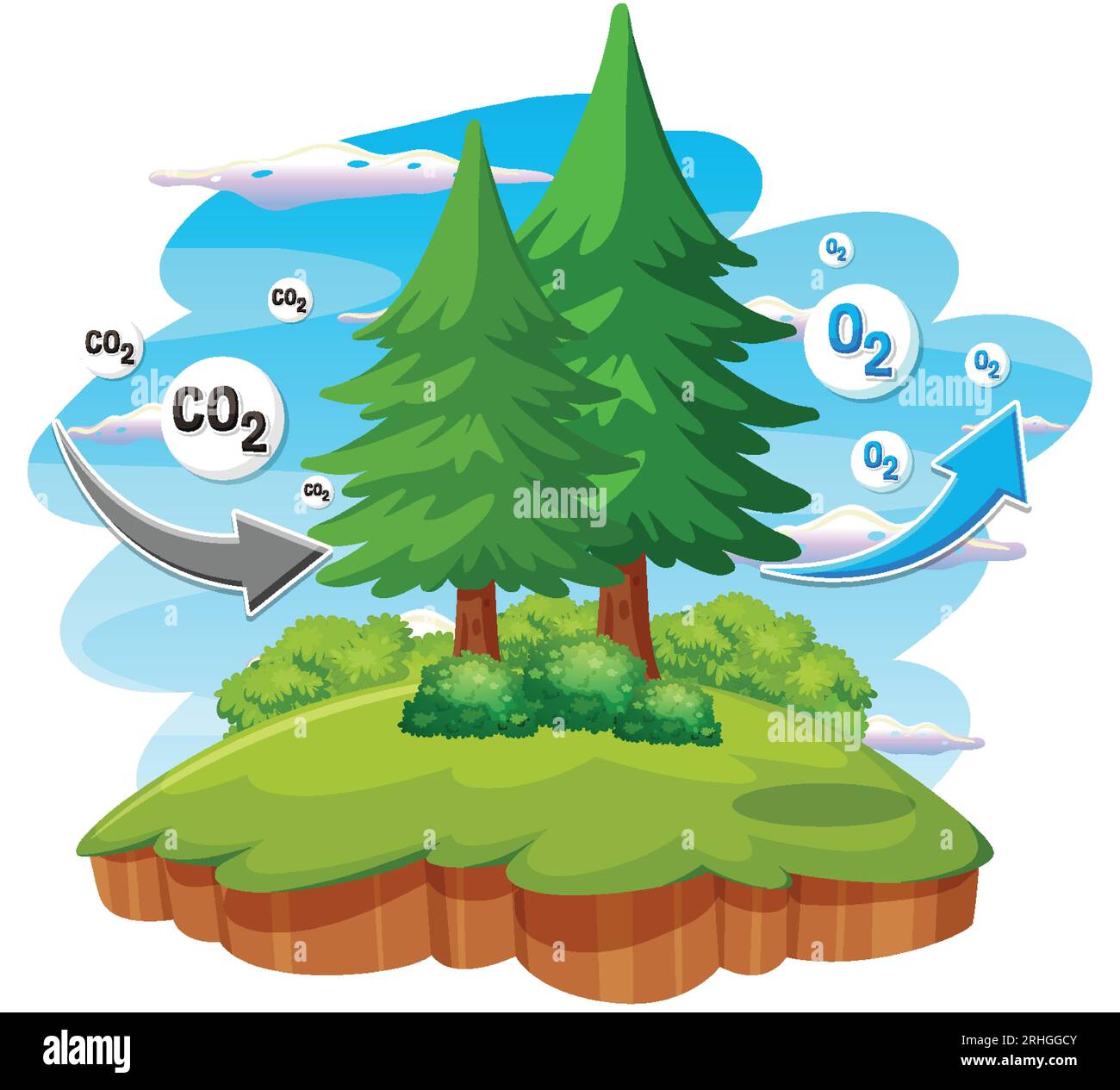 Oxygen Cycle Diagram for Science Education illustration Stock Vector ...