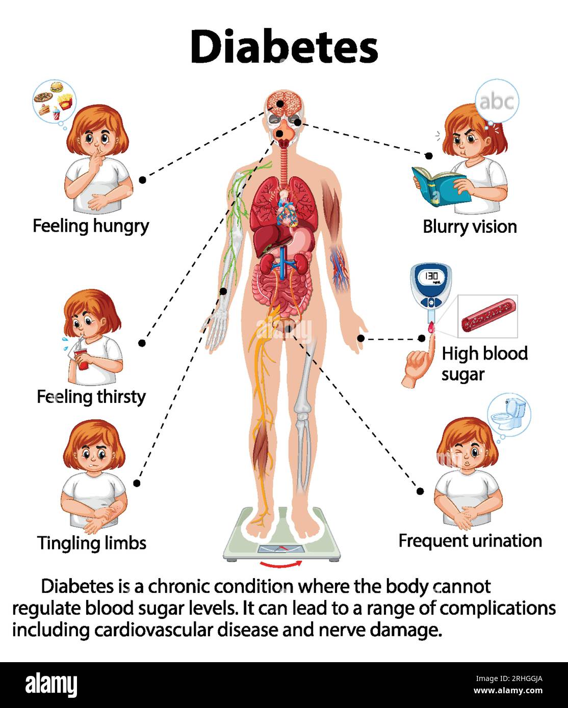 Science and medical education on human anatomy and the effects of ...
