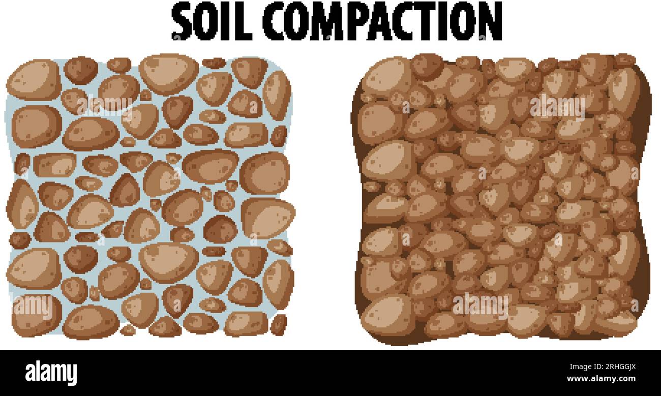 Illustrated diagram comparing soil compaction density for science ...
