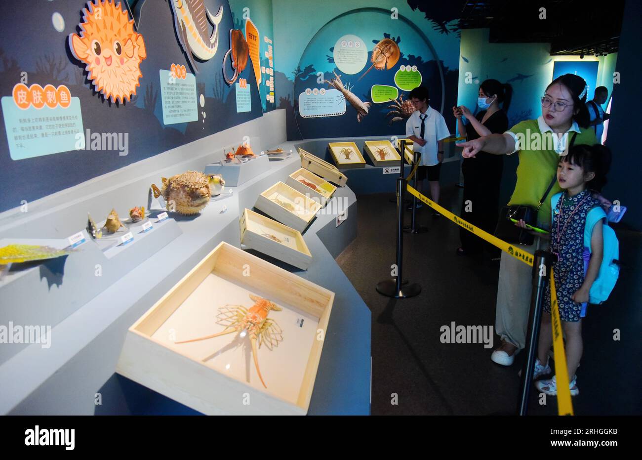 Spiny marine organisms exhibited at Zhejiang Museum of Natural History ...