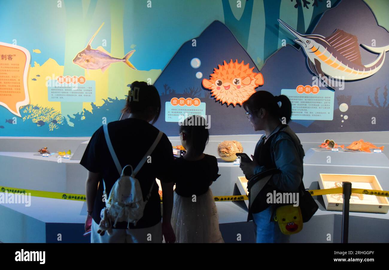 Spiny marine organisms exhibited at Zhejiang Museum of Natural History ...