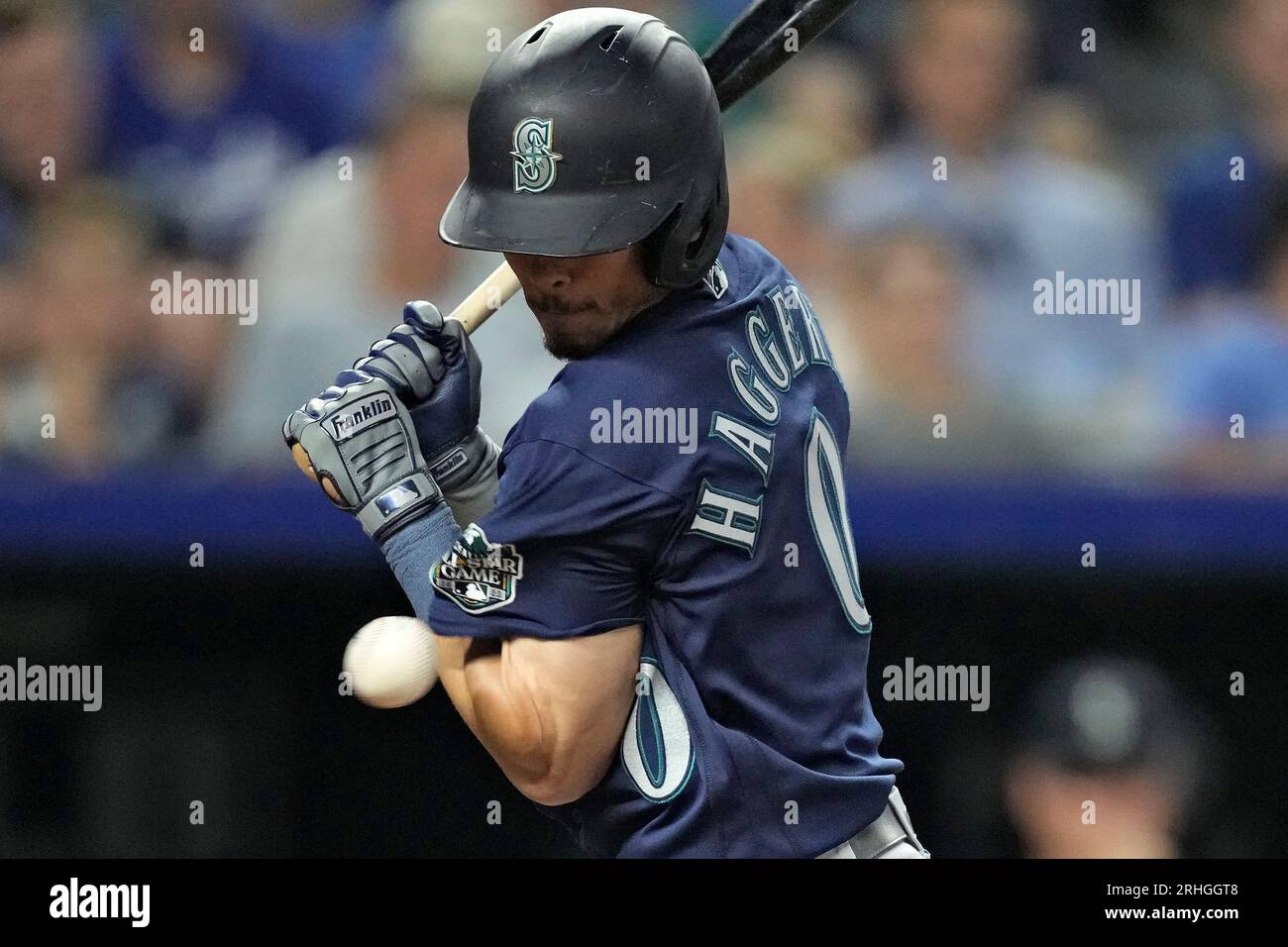 Seattle Mariners' Sam Haggerty is hit by a pitch thrown by Kansas City ...
