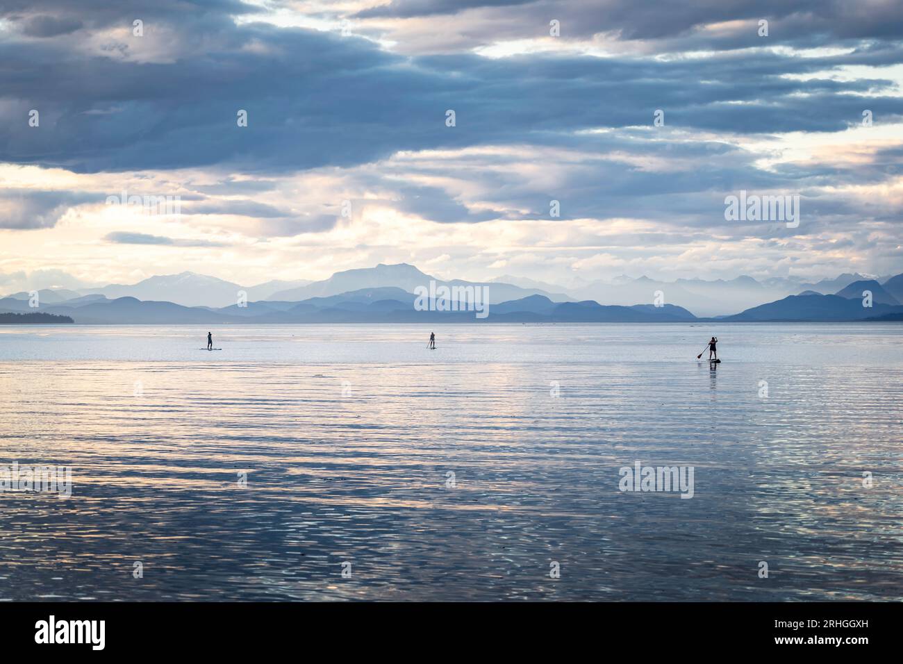 A group of paddle boarders floating across calm water along the Gulf ...