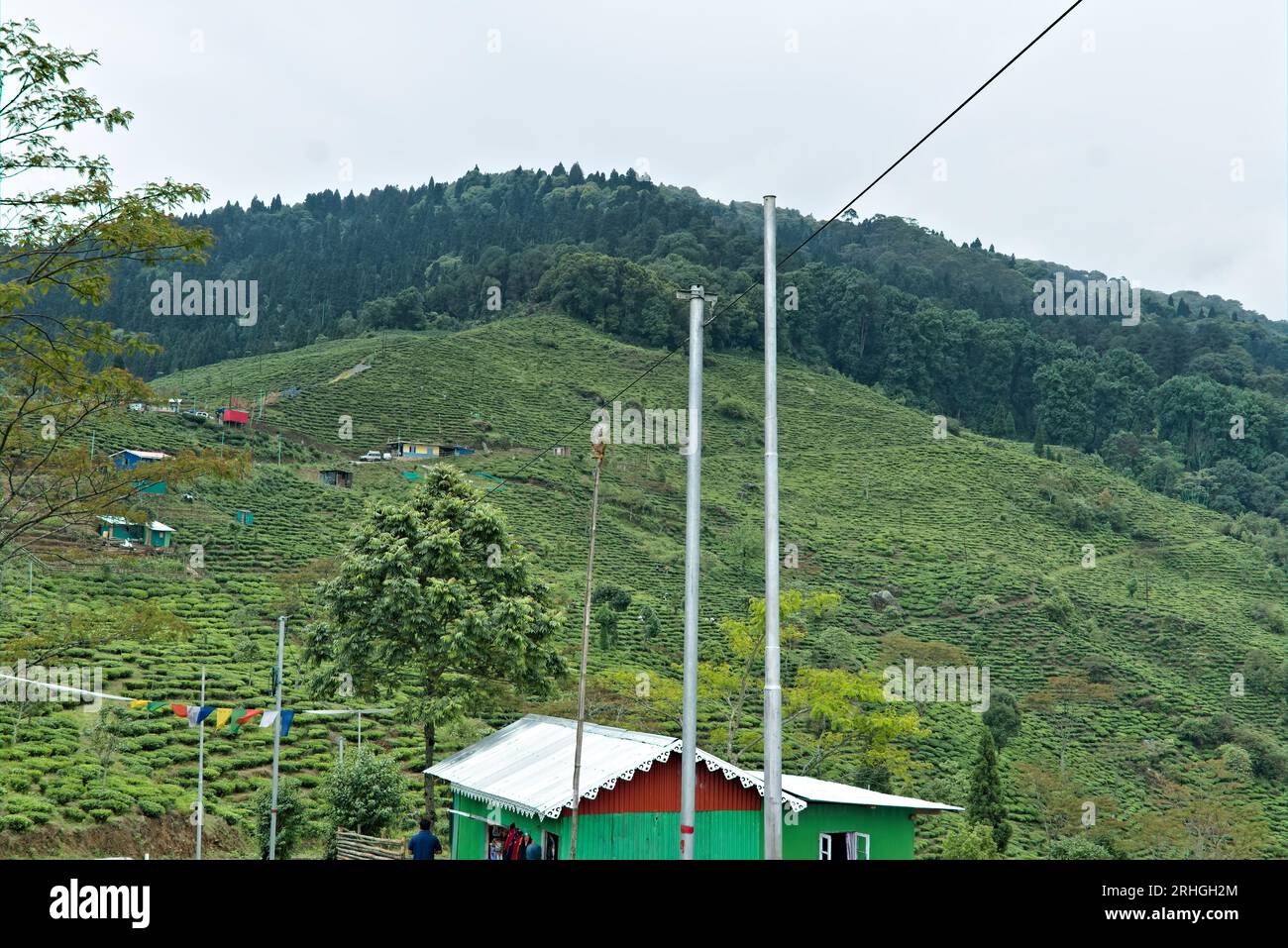 park, hill, scenic, view, american, path, landmark, frisco, panorama ...