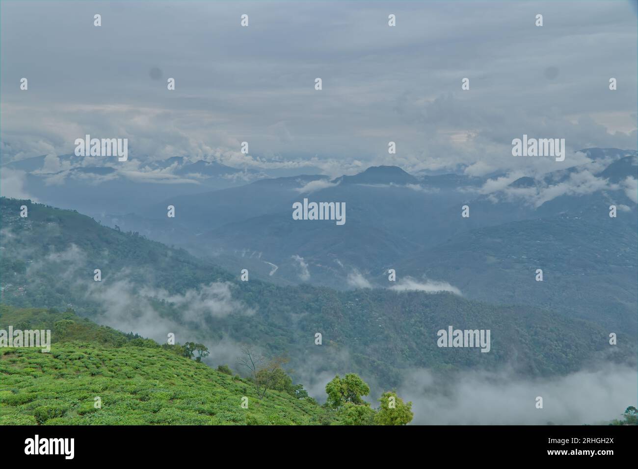 Kalimpong darjeeling hi-res stock photography and images - Alamy